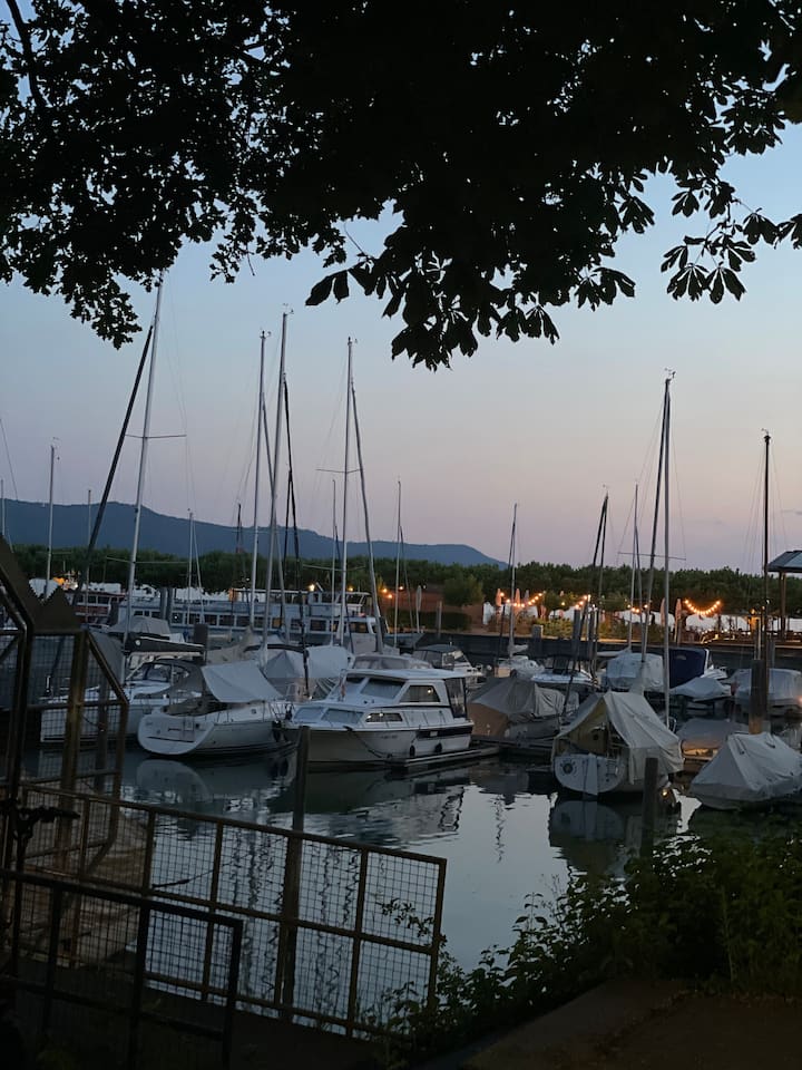 Ani - Radolfzell am Bodensee