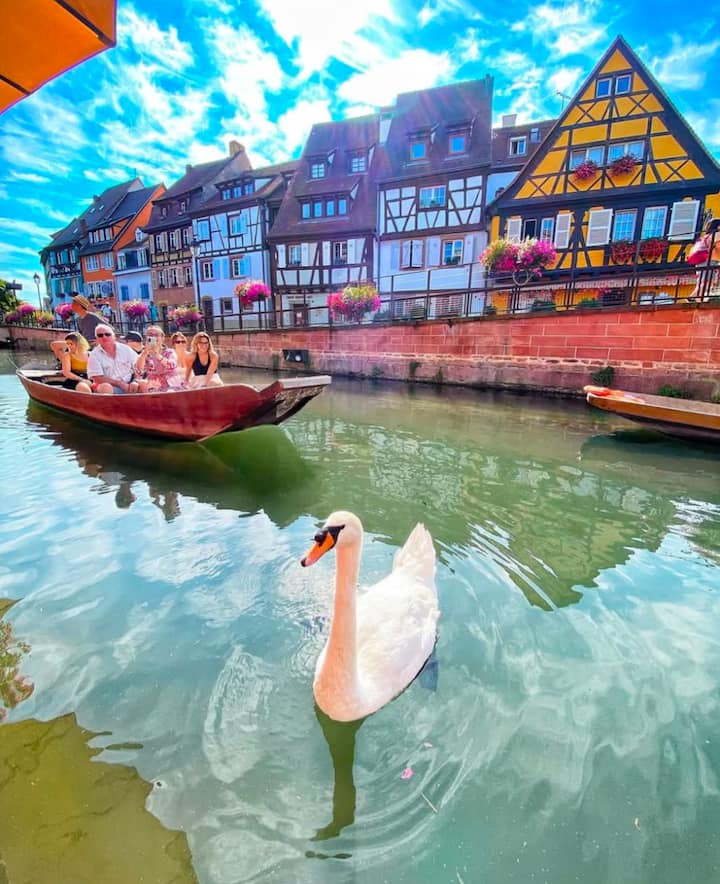 Proche Centre Ville, Terrasse, Parking Gratuit - Colmar