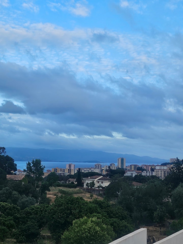 Super T2  Bien éQuipé,confortable Et Climatiser - Ajaccio