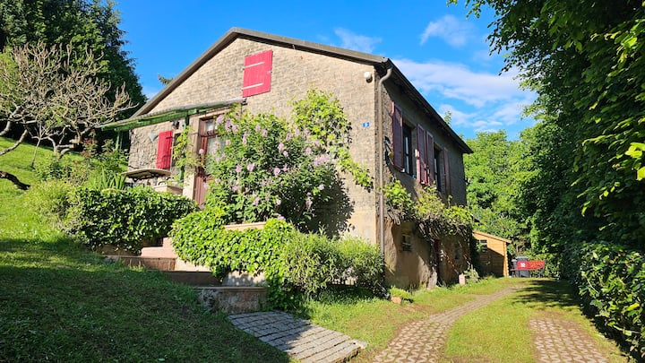 Gite " Le Botanique " - Black Forest