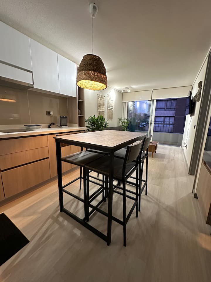 Moderno, Acogedor Y Nuevo Departamento - Providencia