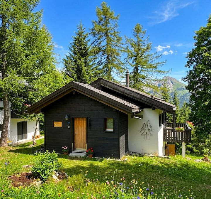 Chalet Silentium - Bellwald
