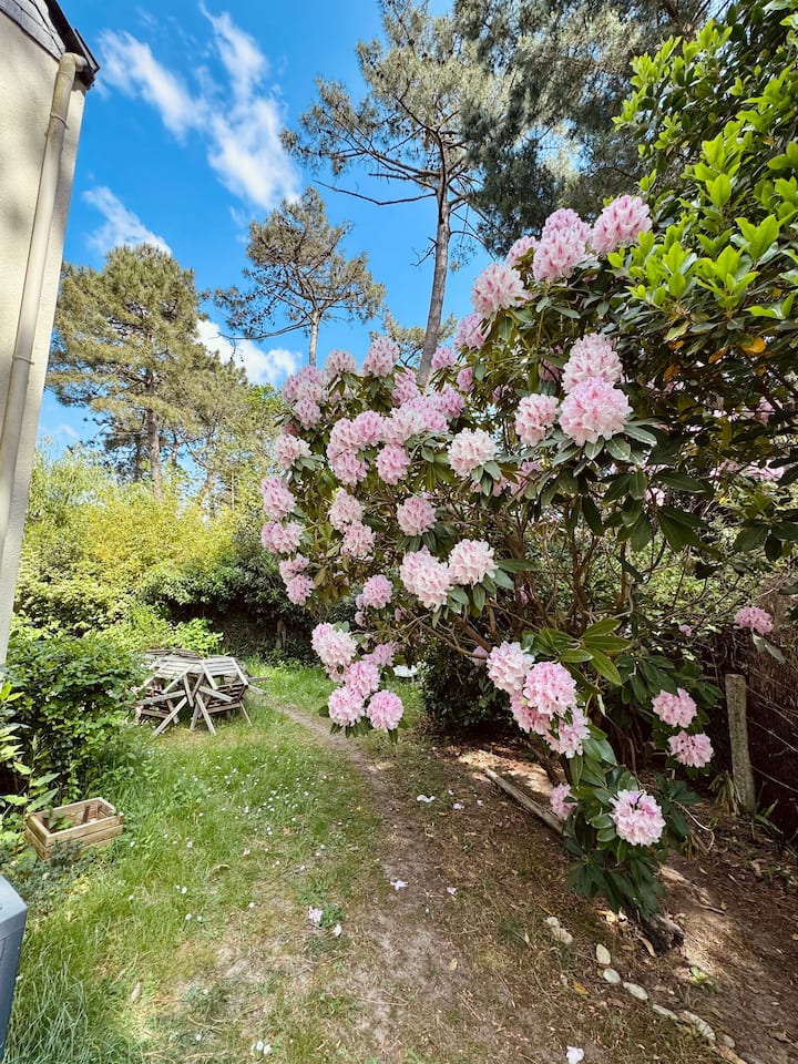 Cocon Entouré De Son Jardin, La Plage à Pieds - Carnac