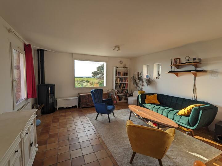 Maison Vue Mer Côtesauvage Pour 8 Pers Avec Jardin - Quiberon