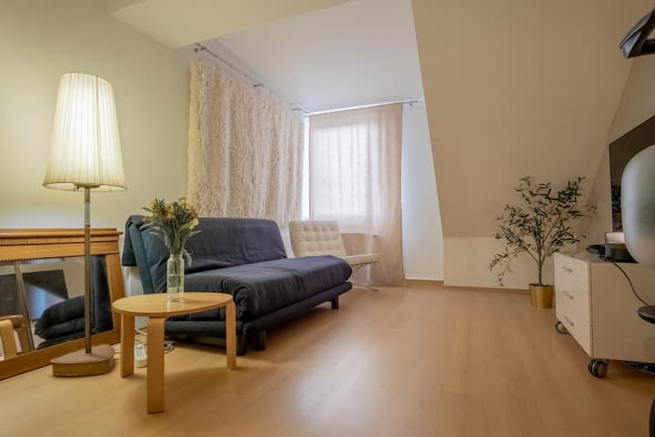 Stilvolle Dg-wohnung Ca. 75 Qm - Leipzig