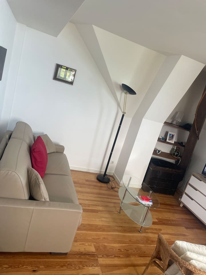 Studio Meuble Sur Le Lac - Évian-les-Bains