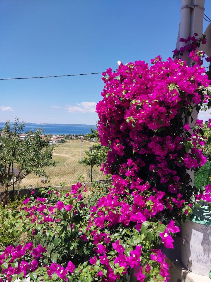 Eti Konukevi - Gelibolu