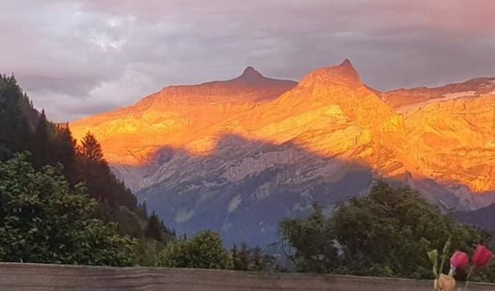 Chalet Lumineux - Les Diablerets