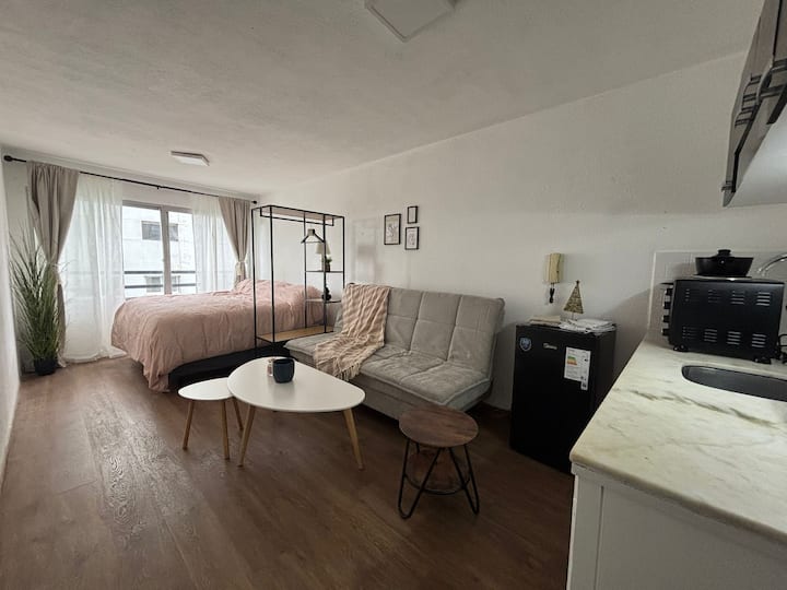 Monoambiente Céntrico Con Estilo Moderno&acogedor - Montevideo