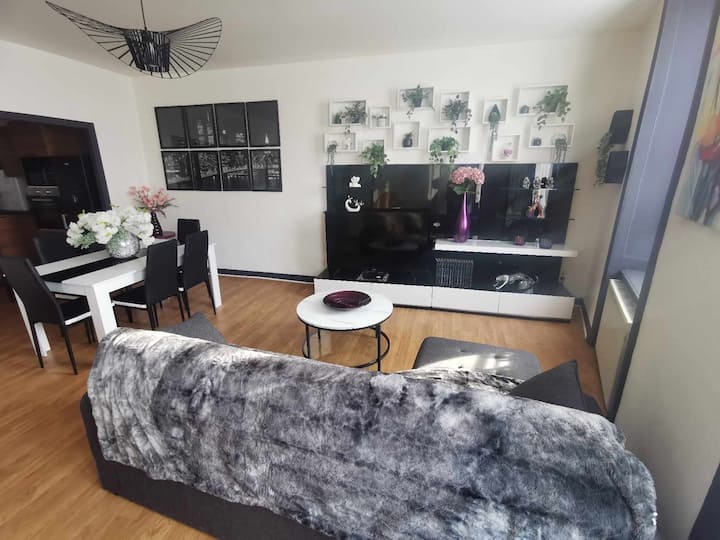 Bel Appartement De 1 à 9 Personnes - Ambert