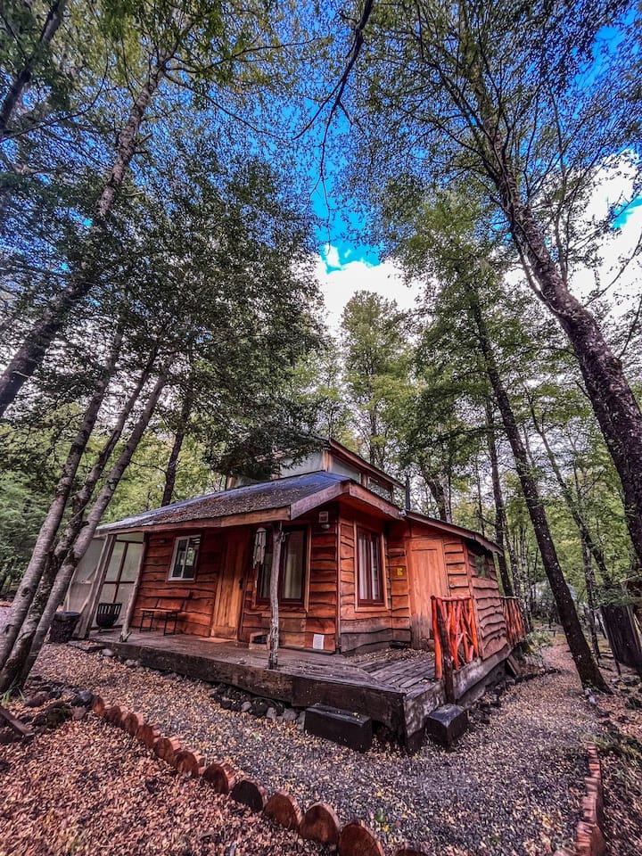 Cabaña Para 6 Personas Malalcahuello - Lonquimay