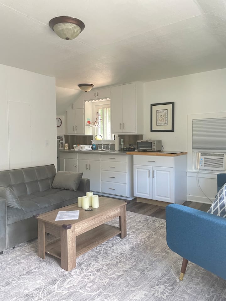 Cute And Cozy In Prime Downtown - Mount Pleasant, MI