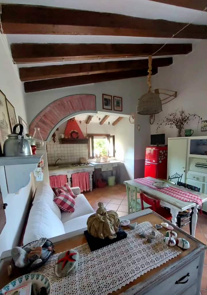 Mare Colline Città D'arte - Rosignano Marittimo