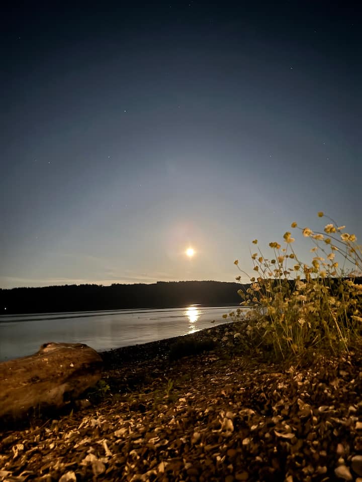 Hoodsport Beachfront Escape: Game Room/ev Charger - Hoodsport, WA