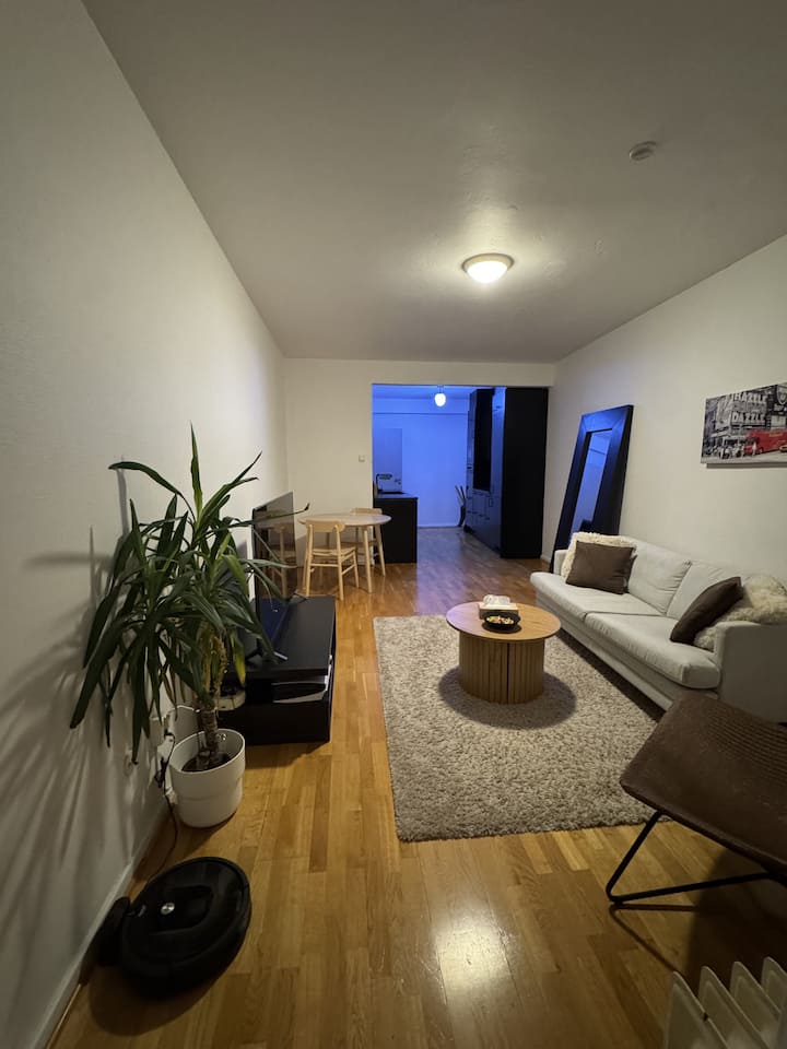 Komfortabel Leilighet Med Moderne Fasiliteter - Oslo