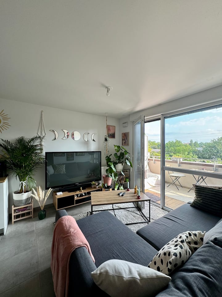 Appartement - Toulouse - Toulouse