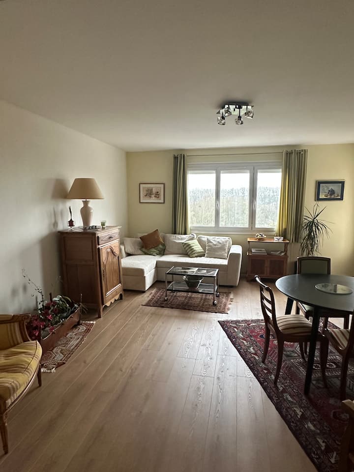 Appartement Type 3 Centre-ville, Verdure Et Calme - Bourges