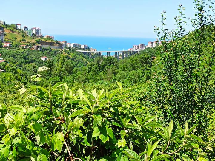 Local Home - Akçaabat