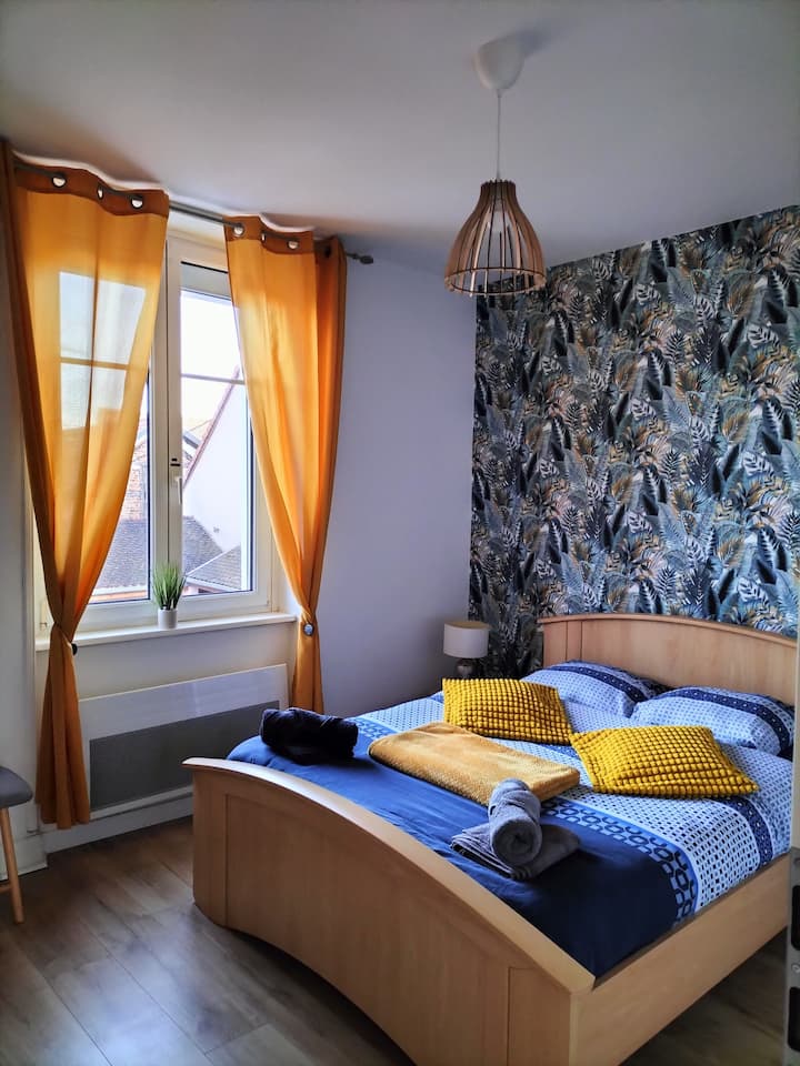 Magnifique Appartement Paisible Avec Balcon - Ensisheim