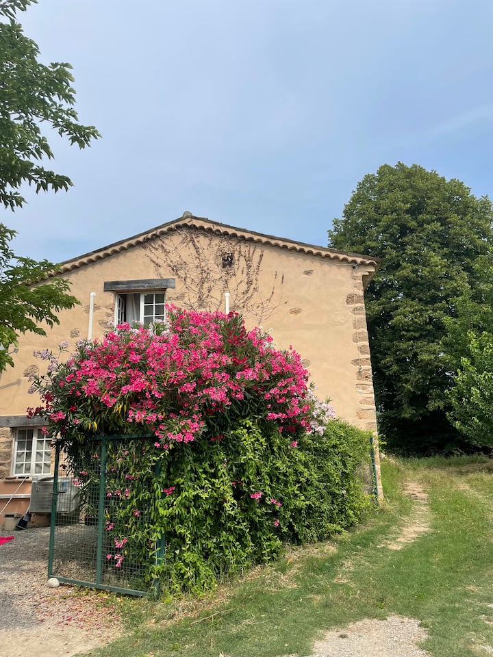 Le Mas De La Cognasse - Vidauban