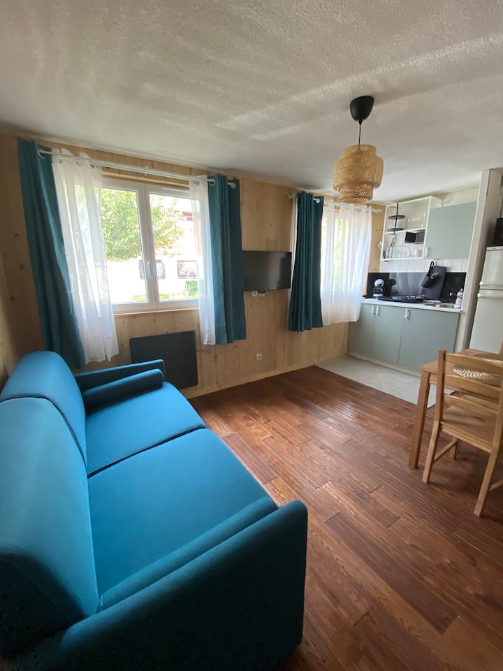 Studio Cosy Proche Télécabine – Parking Privé - Vaujany