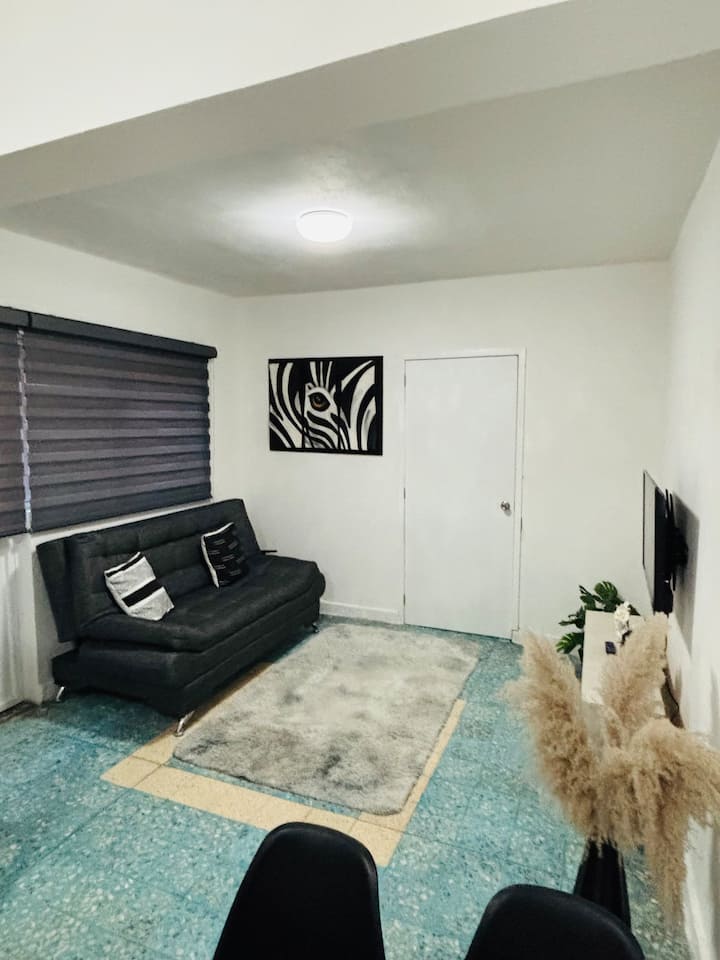 Departamento Seguro Y Céntrico - Mexique
