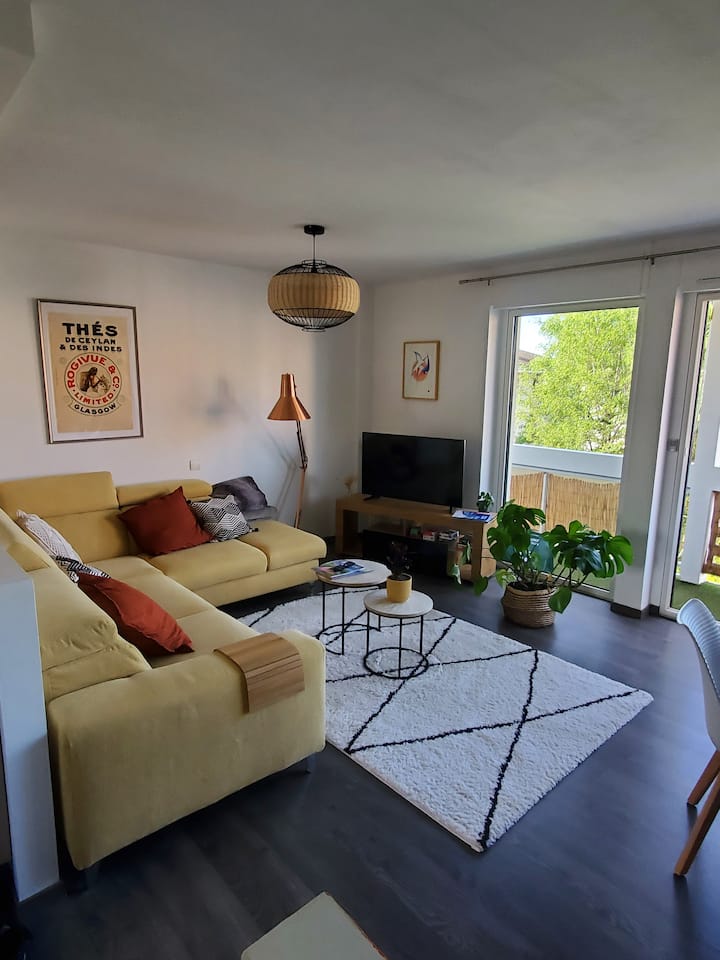 Jolie Chambre à Annecy - Annecy-le-Vieux