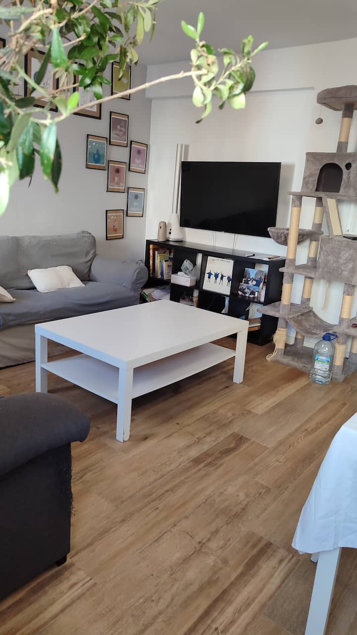 Habitación Acogedora, Espaciosa Y Céntrica - Valencia