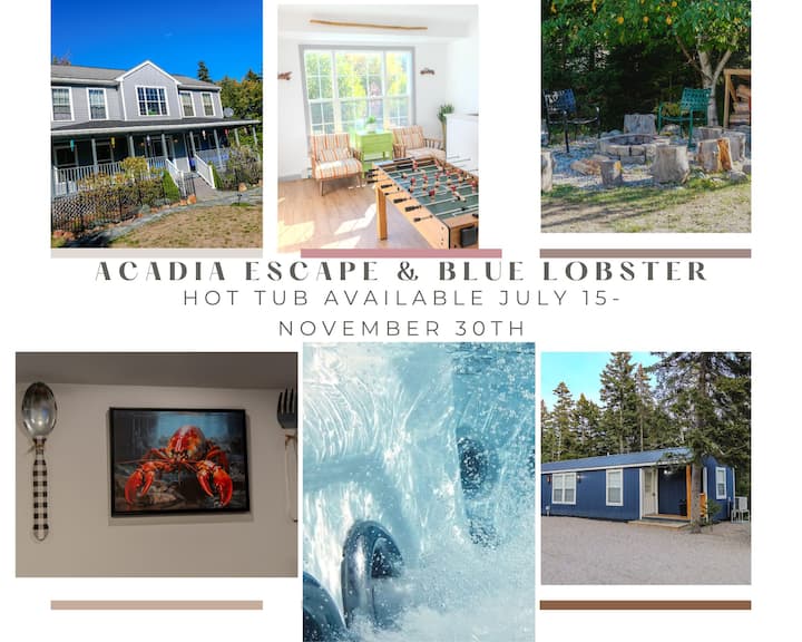 Blue Lobster & Acadia Escape - Maine