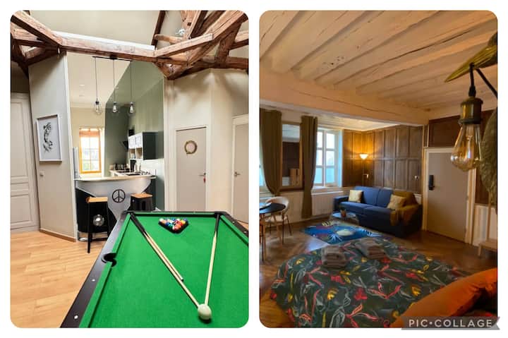 Toit Du Palais & Son F1 De Charme - Auxerre