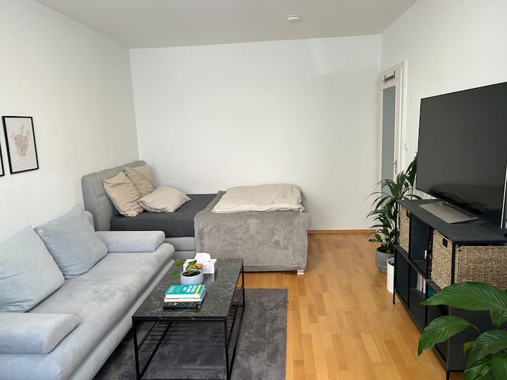 1-zimmer-apartment München Maxvorstadt - Munich