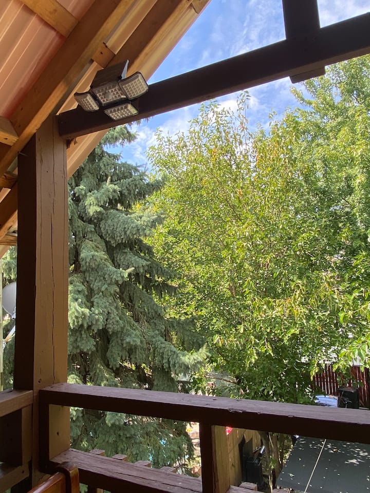 Cozy And Private Home - Şikago, IL