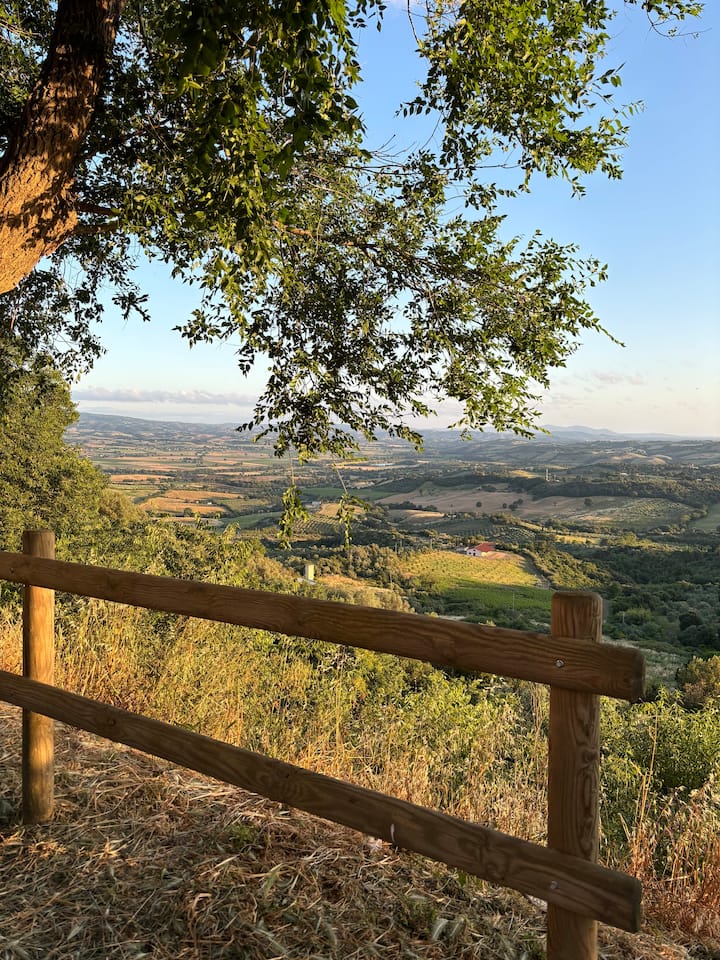 La Tana Dell’anaconda - Grosseto, Italia