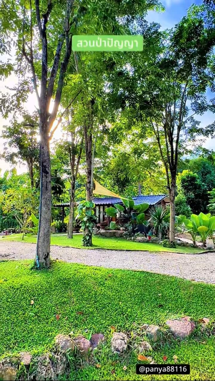 Panya Forest Retreat สวนป่าปัญญา - Kanchanaburi