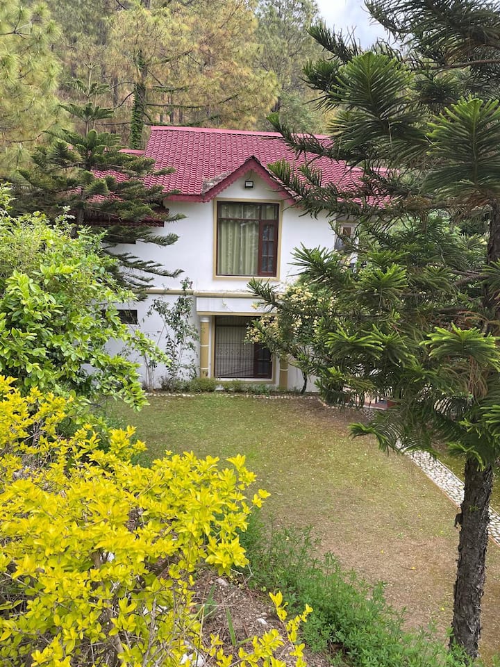 Patiala House Cottages Moti Bagh - Chail