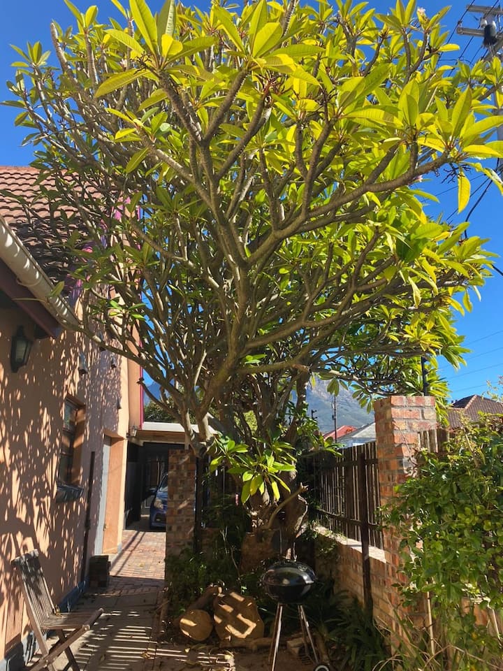 Plumeria Sunshine Apartment - Self Catering - Claremont