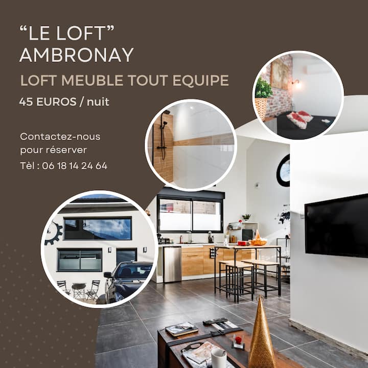Studio Loft 2 Pers. 20 Min Cnpe - Pont-d'Ain