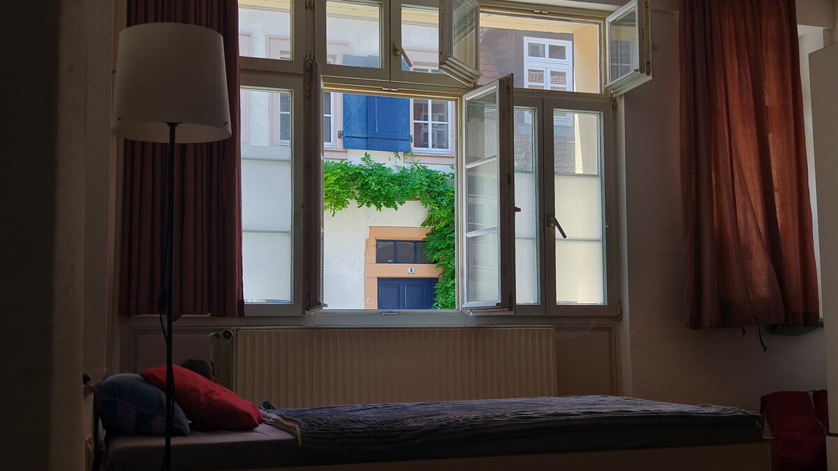 Studio Altstadt - Apartments for Rent in Heidelberg, Baden-Württemberg ...