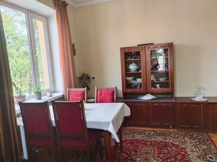 квартира в комфортабельном месте - Bishkek