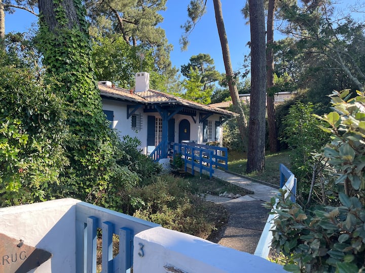 Belle Maison Rénovée En 2024 - Arcachon Bay