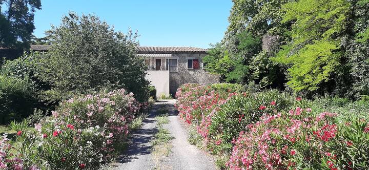 Un Petit Coin De Campagne - Montagnac