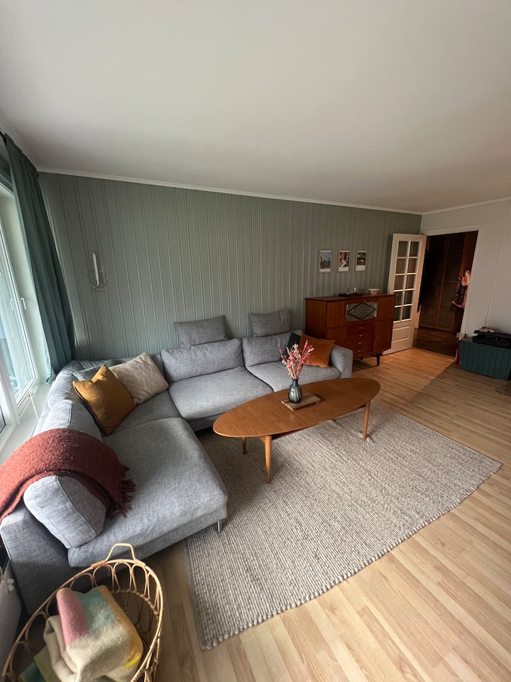 Lun Og Fin Leilighet I 1.etasje - Trondheim