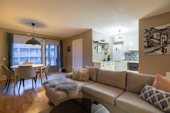 Nyoppusset Og Sentral Leilighet - Oslo