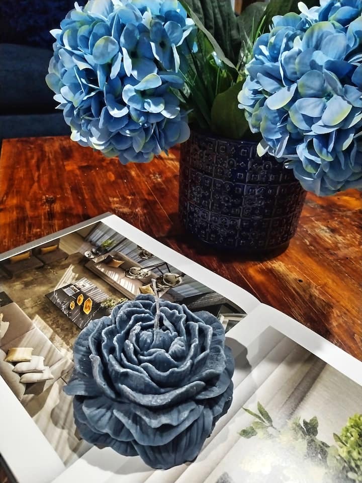 Casa Momento Centro 2bdrm 1.5 Bth. Free P. JardÃn. - Toluca