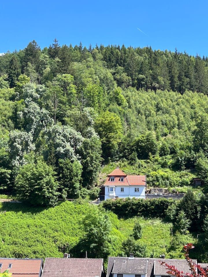 Harzer Ferienhaus Mit Spektakulärem Panoramablick - Harz