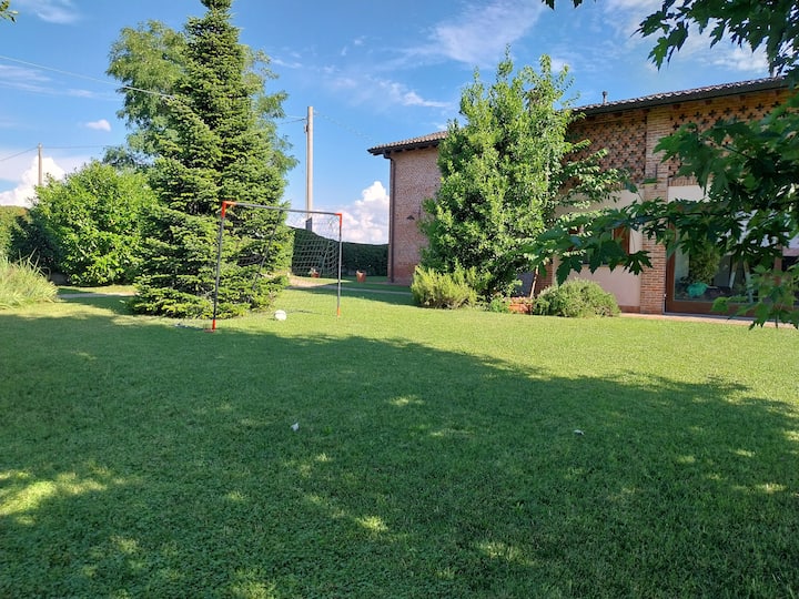 Picchio Verde - Piacenza