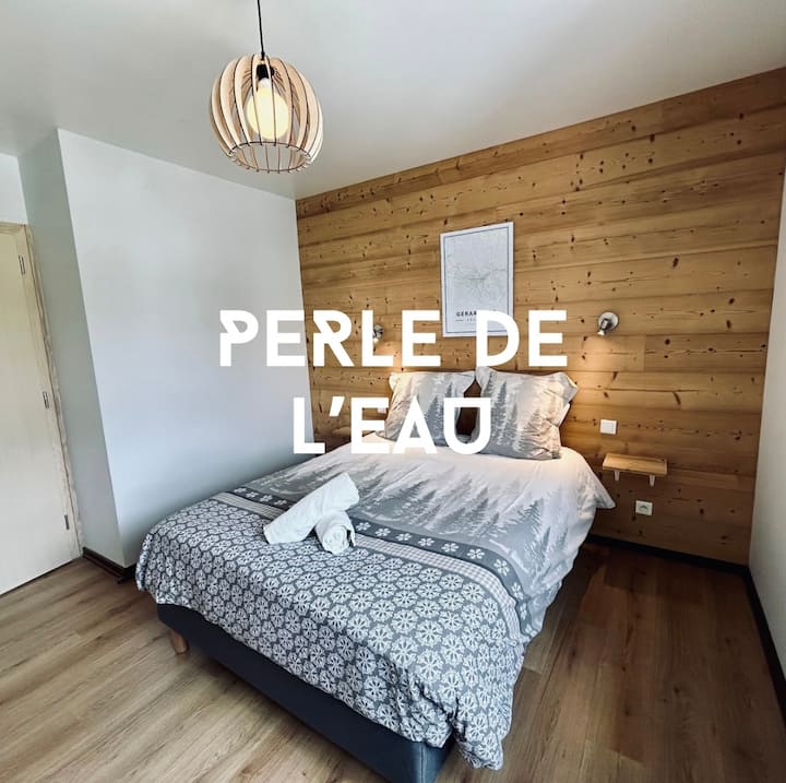La Perle De L’eau - à Deux Pas Du Lac - Gérardmer