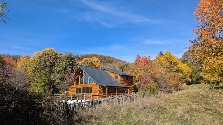 Cabana De Lemn Cu Piscina - Moreni