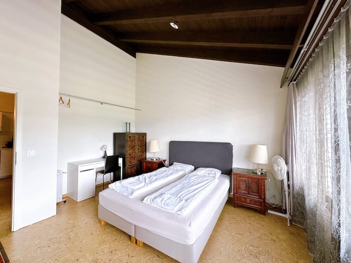 Room With Balcony View To Pilatus Mountain - Weggis