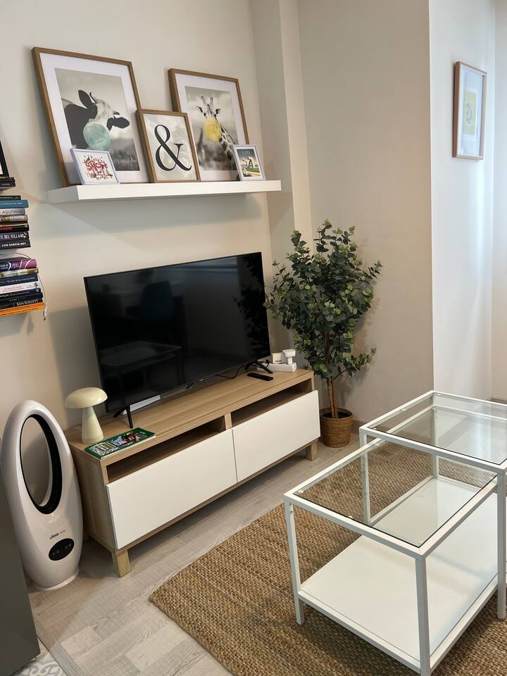 Mi Apartamentìn - Gijón